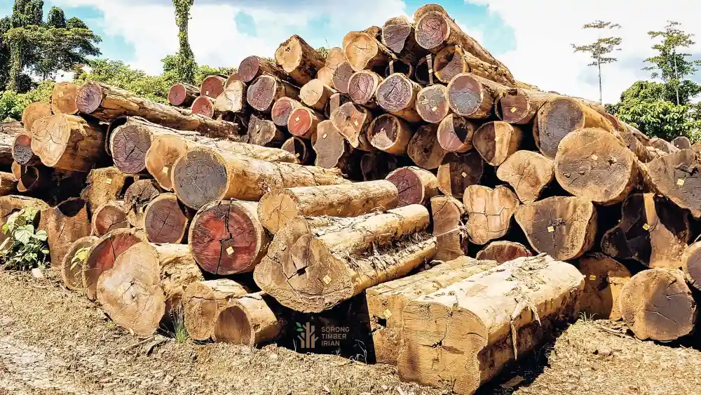 CV Tropical Timber Indonesia